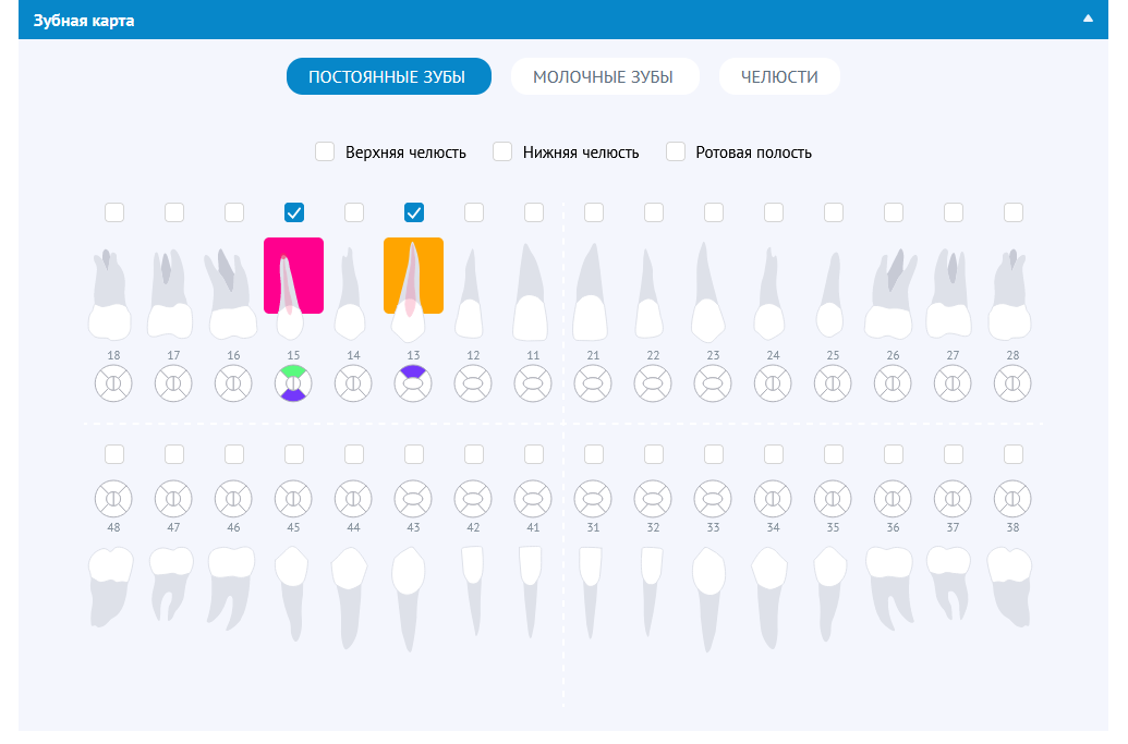 Зубная формула: Полезные советы для стоматологов